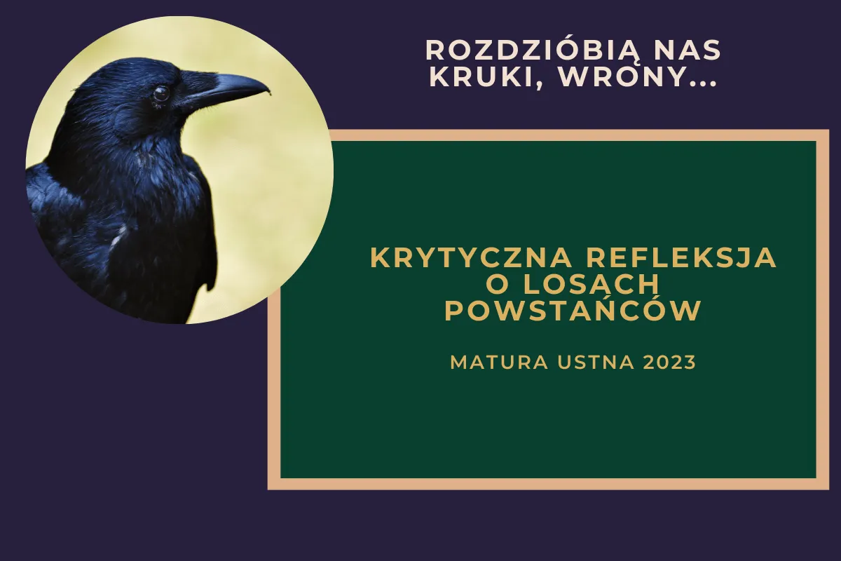 Kruk 1: Refleksje widza – mroczna fabuła, aktorstwo i kontrowersje.