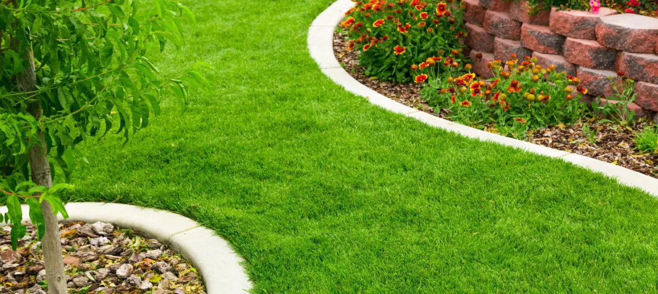 Jaki torf pod trawnik wybrać, aby uniknąć błędów i cieszyć się pięknym ...