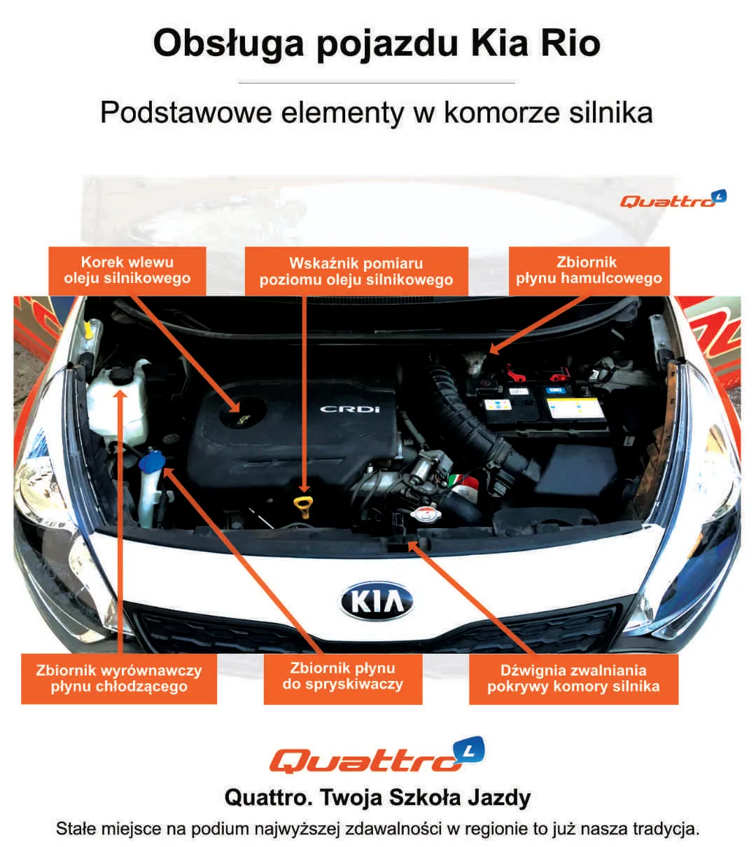 Co jest pod maską samochodu na egzamin? Kluczowe elementy, które musisz ...
