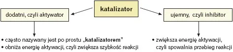 Co to jest katalizator w chemii i jak wpływa na reakcje? Proste wyjaśnienie